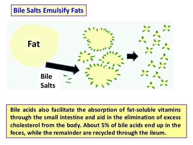 Nutrition: Acquiring Nutrients from Foods.