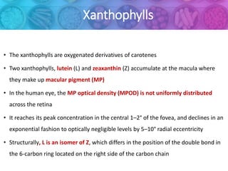 Carotenoids and eye | PPT