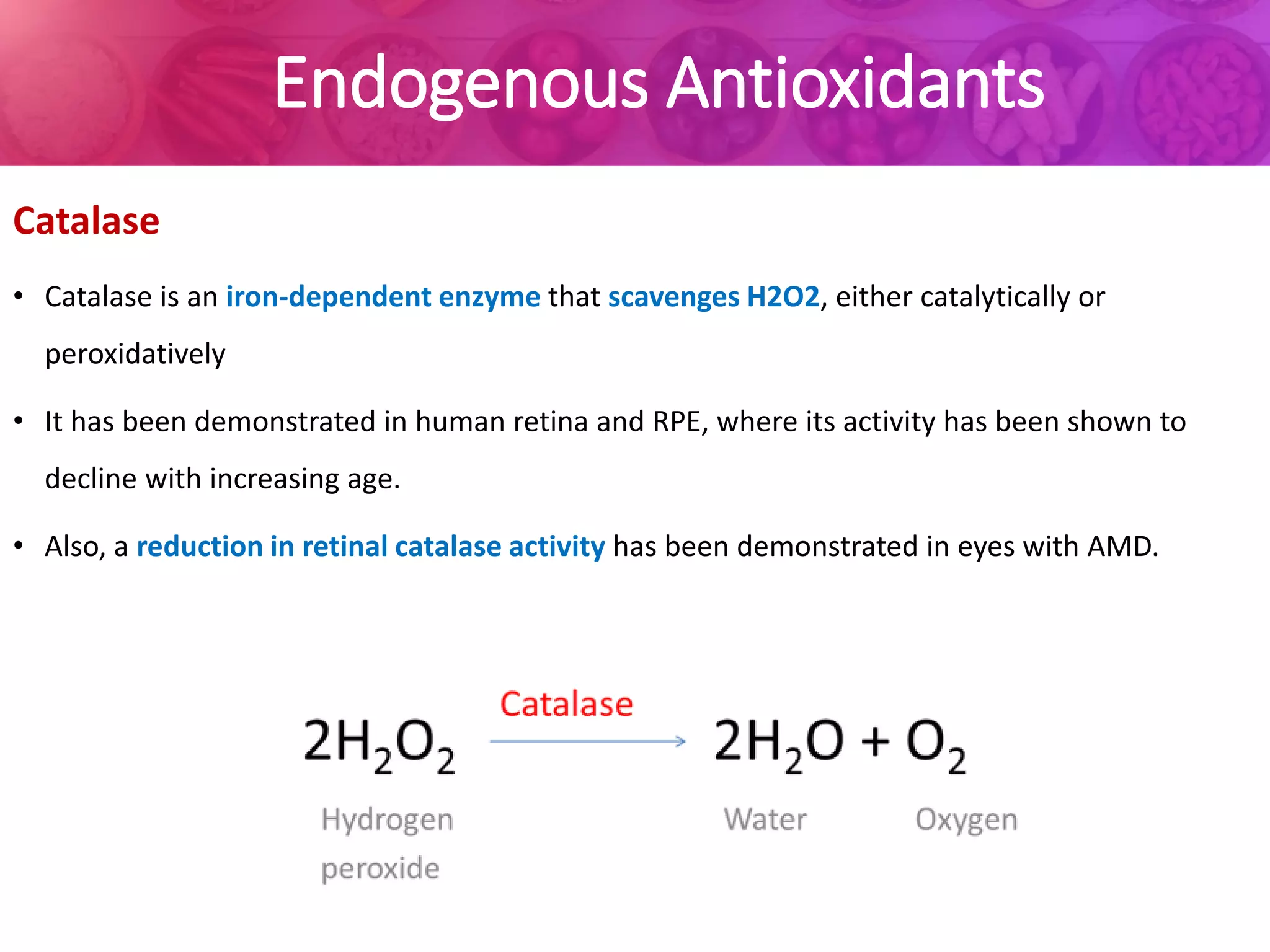 Oxidative stress and the eye | PDF