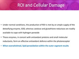 Oxidative stress and the eye | PDF