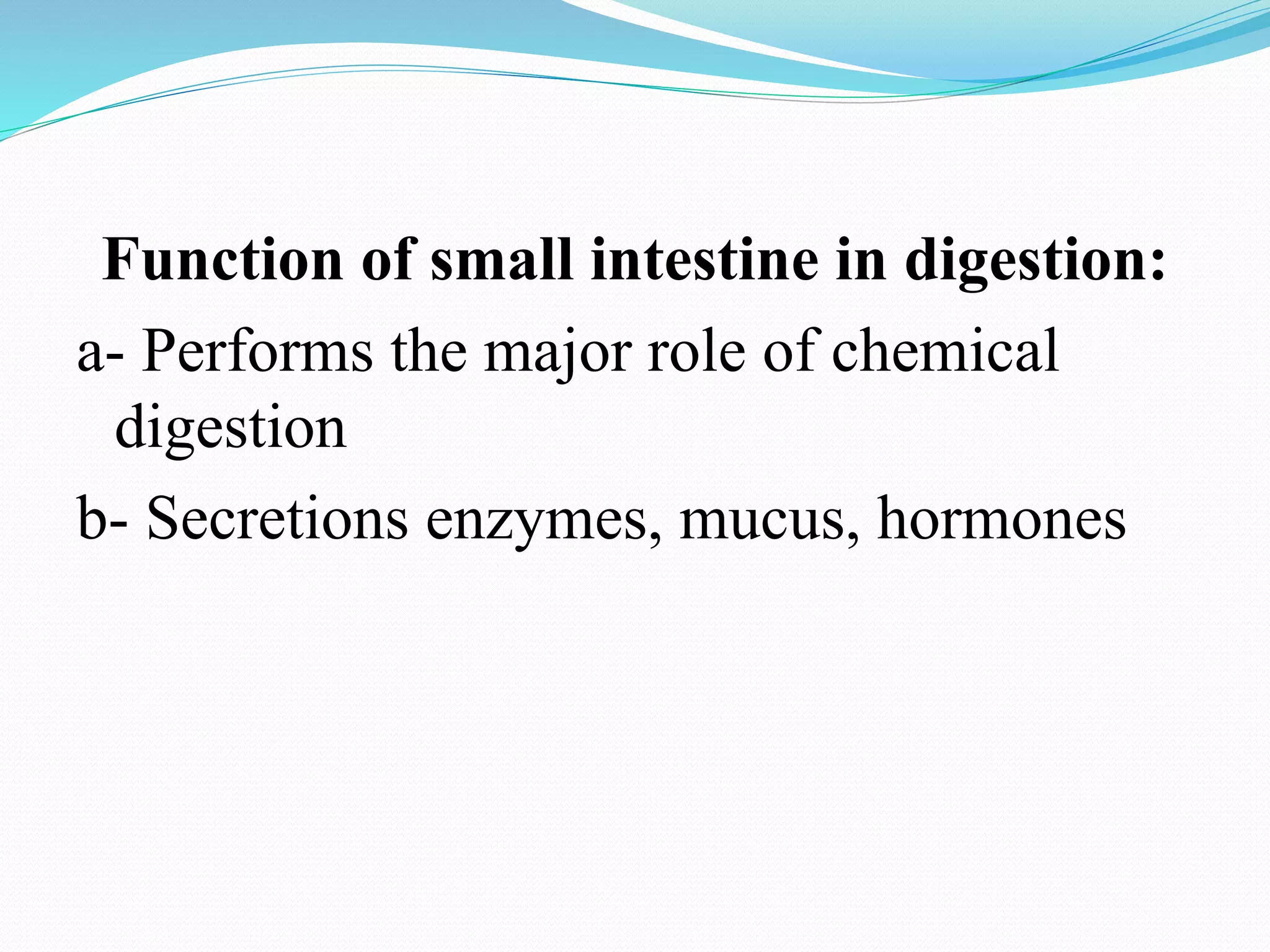 Digestion, Absorption, and Metabolism | PPTX