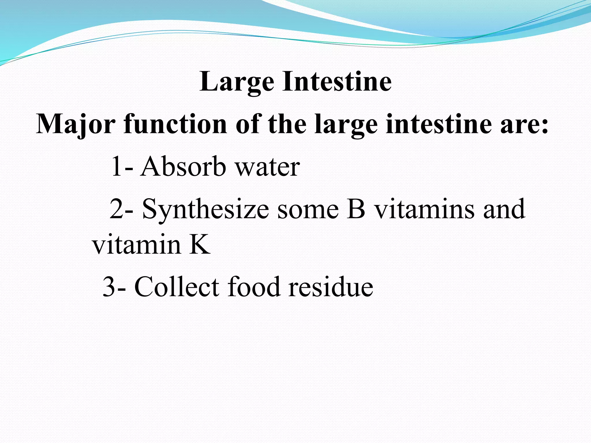 Digestion, Absorption, and Metabolism | PPTX