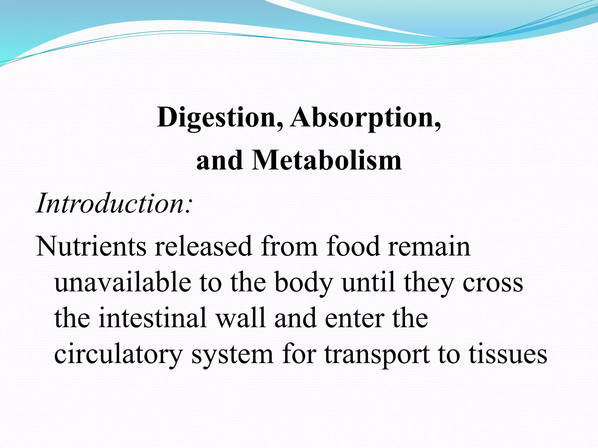 Digestion, Absorption, and Metabolism | PPTX