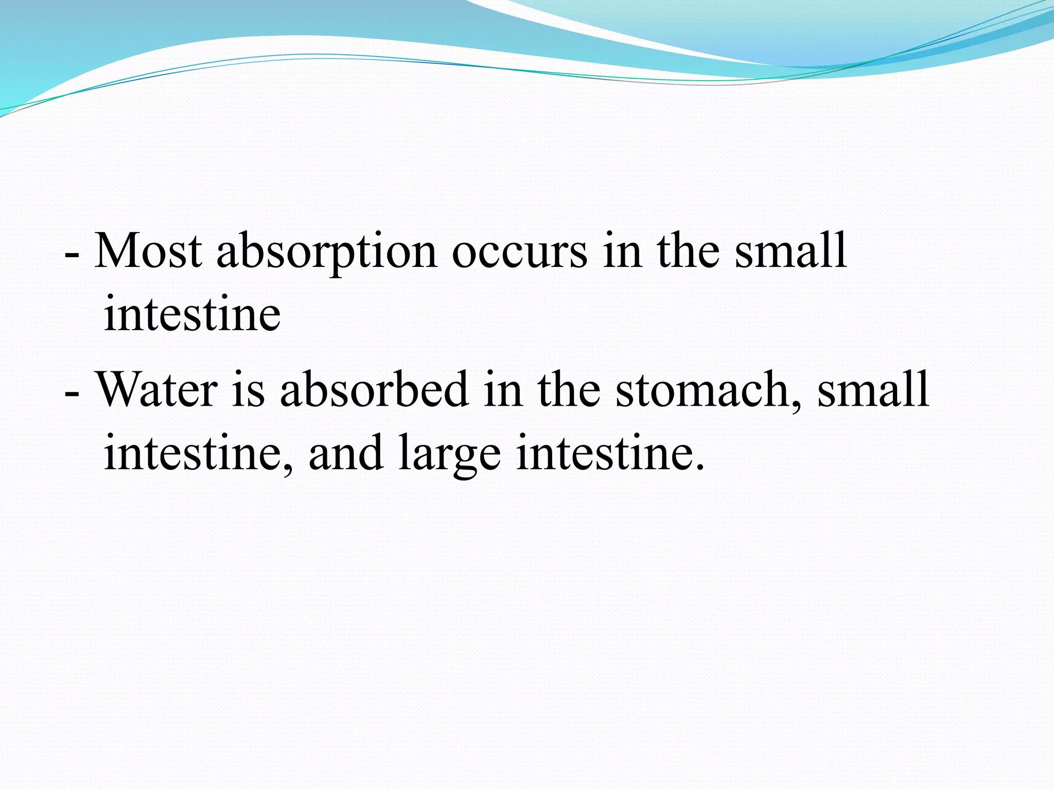 Digestion, Absorption, and Metabolism | PPTX