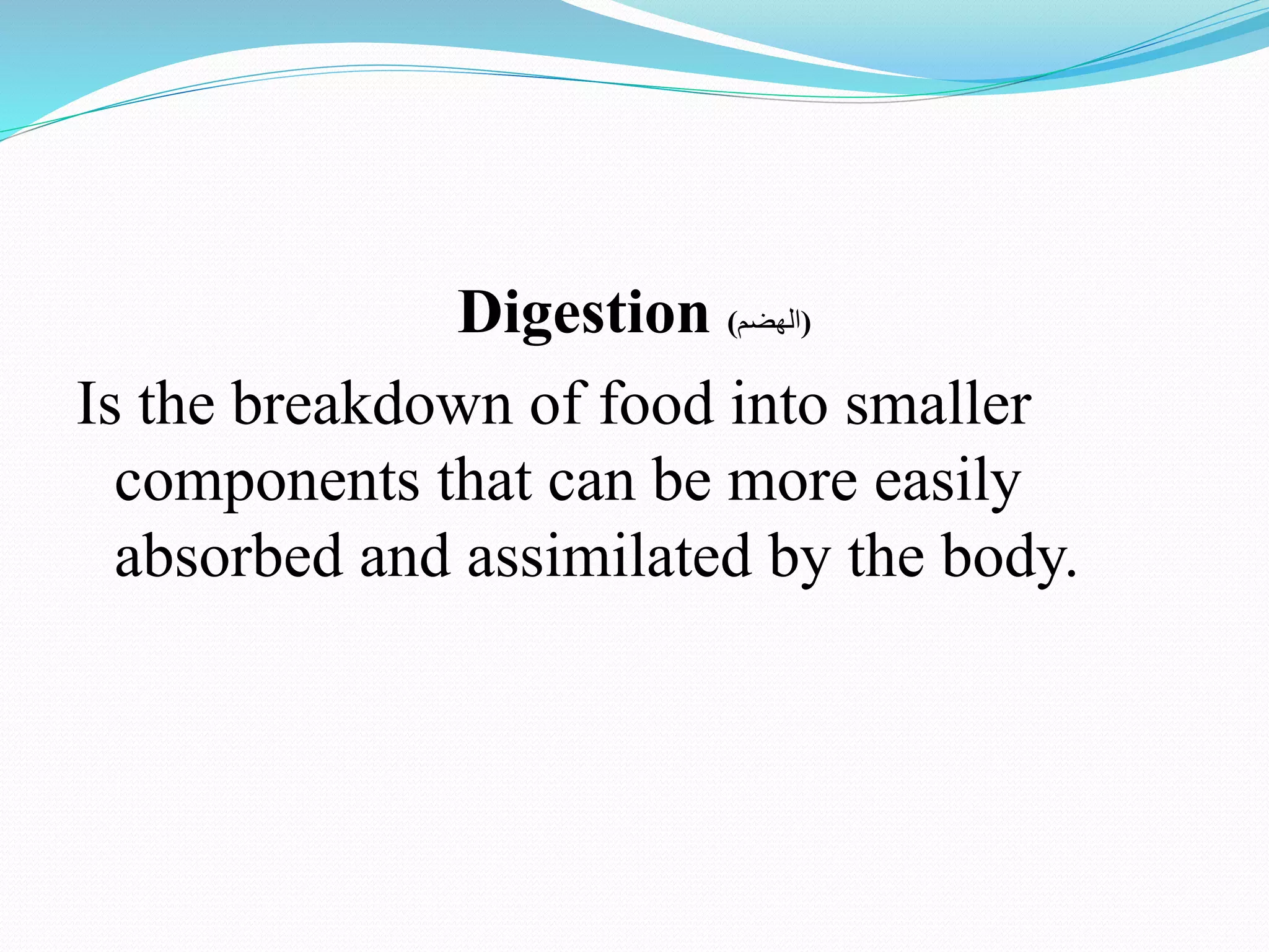 Digestion, Absorption, and Metabolism | PPTX