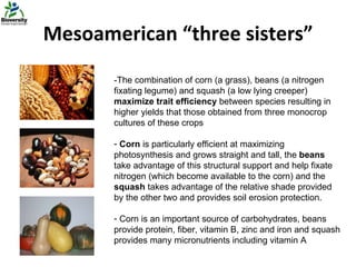 Nutrition agricultural biodiversity and food prices | PPT