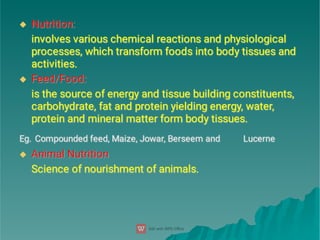 Nutritional-Terms-Their-Definitions (1).pdf