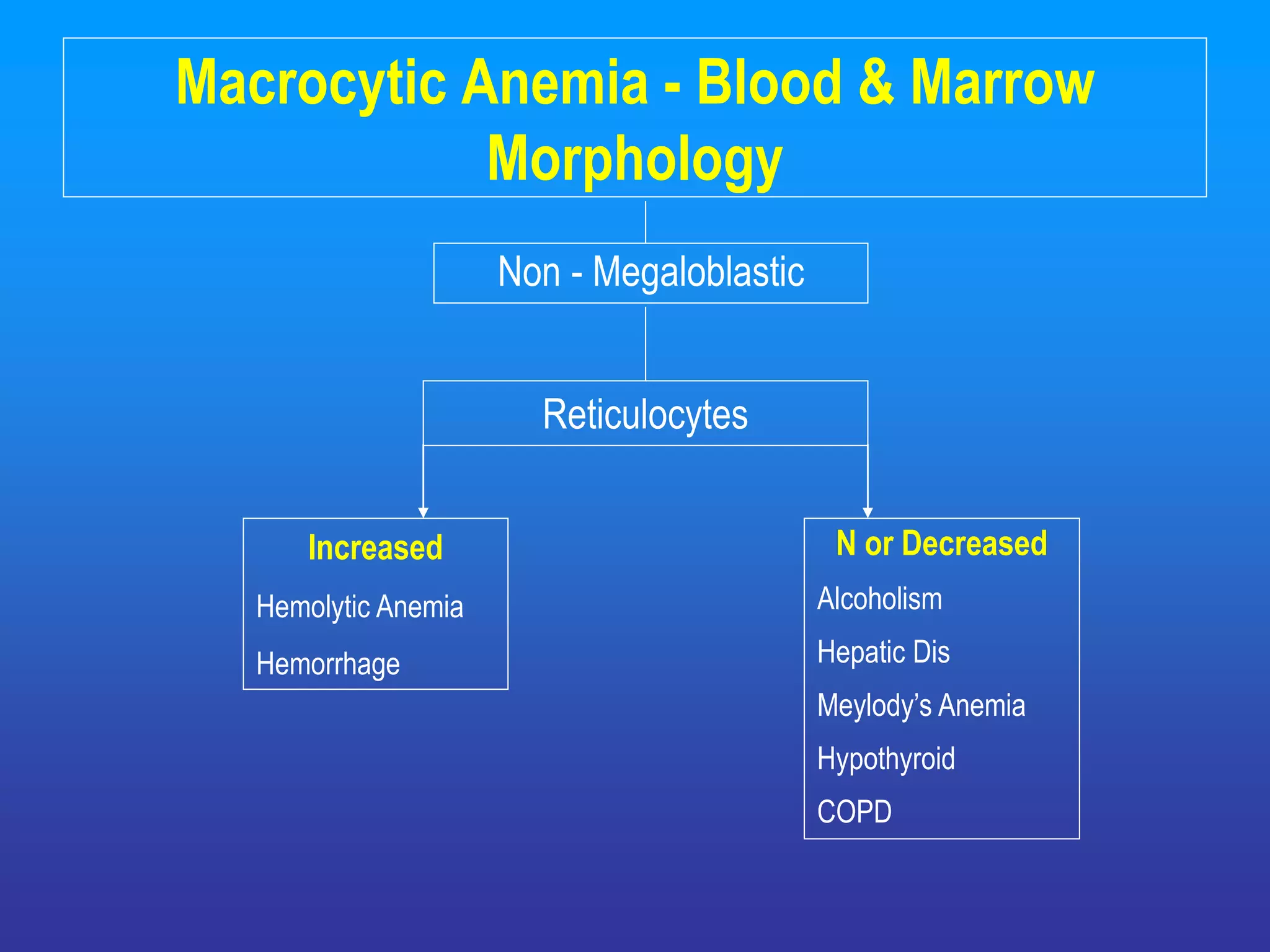 Nutritional Anemia.ppt
