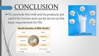 Nutritional aspects of milk & milk products | PPTX