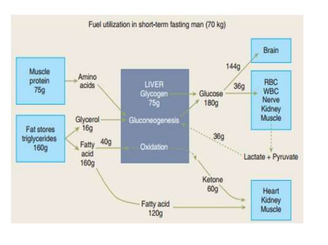 NUTRITIONAL ASSESMENT &MANAGEMENT IN SURGICAL PATIENT.pptx