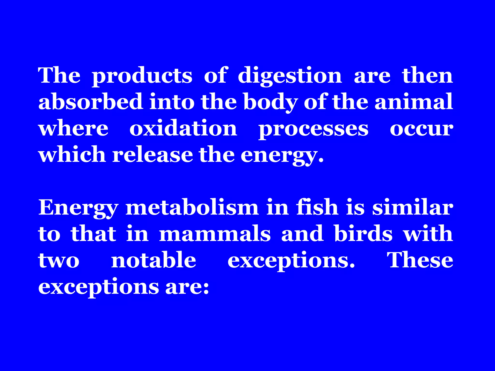 Nutritional bioenergetics in fish | PPTX