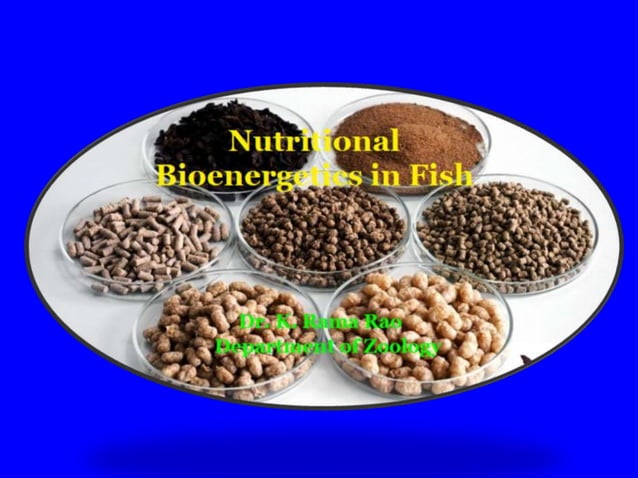 Nutritional bioenergetics in fish | PPTX | Chemistry | Science