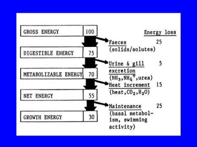 Nutritional bioenergetics in fish | PPTX | Chemistry | Science