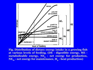 Nutritional bioenergetics in fish | PPTX