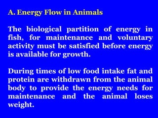 Nutritional bioenergetics in fish | PPTX
