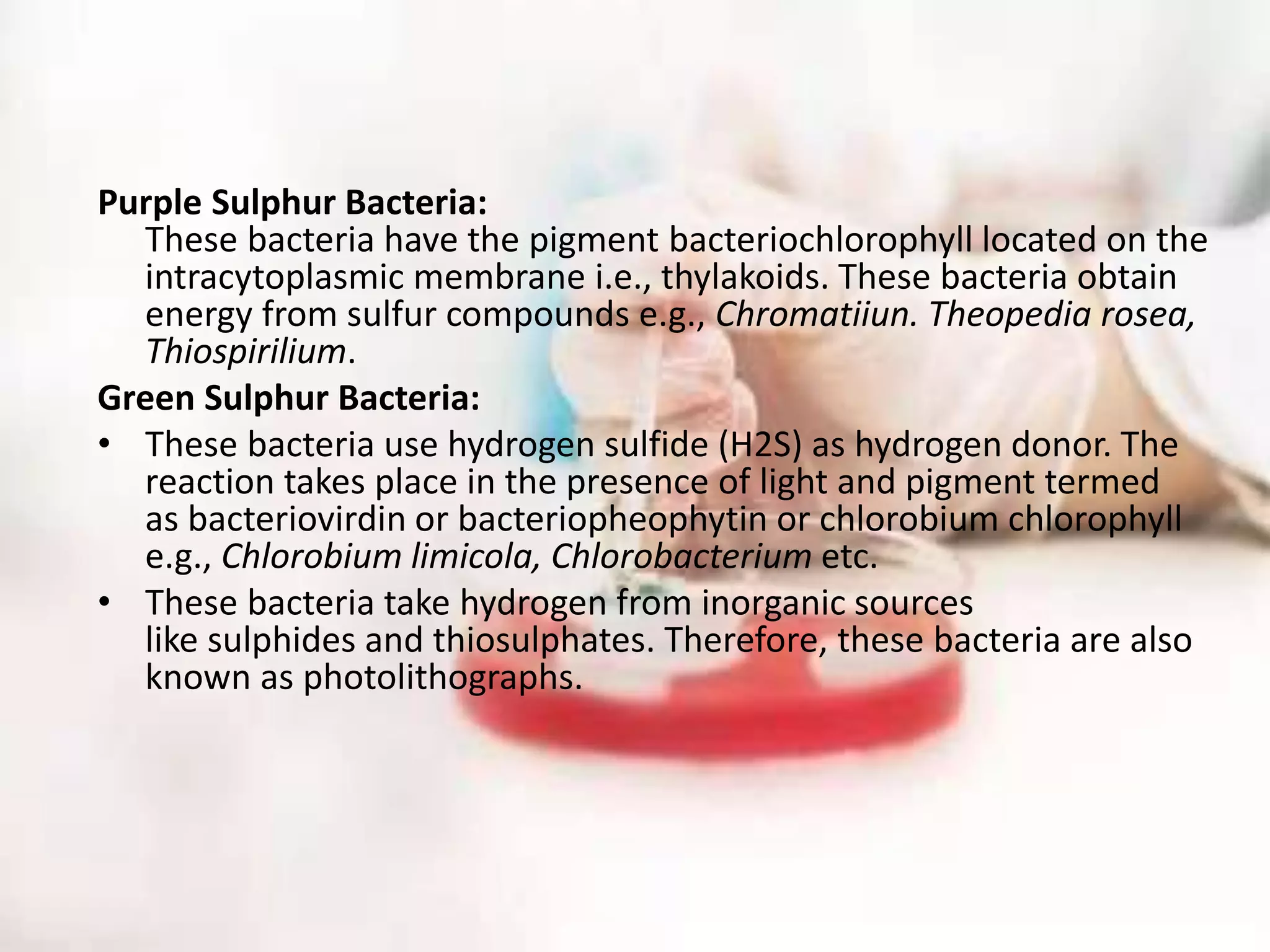 Nutritional classification of bacteria | PPTX