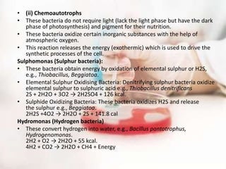 Nutritional classification of bacteria | PPTX