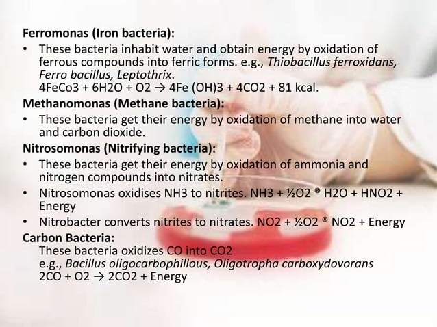 Nutritional classification of bacteria | PPTX | Chemistry | Science