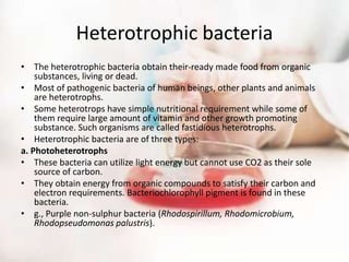 Nutritional classification of bacteria | PPTX