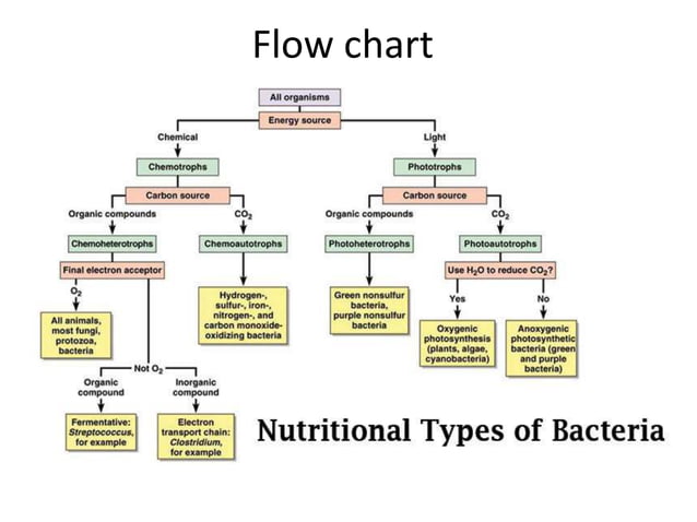 Nutritional classification of bacteria | PPTX | Chemistry | Science