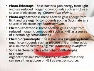 Nutritional classification of bacteria | PPTX