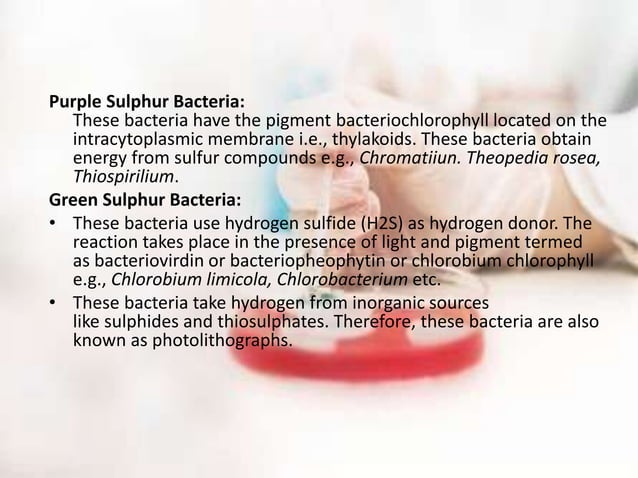 Nutritional classification of bacteria | PPTX | Chemistry | Science