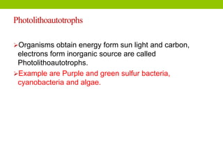 Nutritional classification of bacteria | PPTX