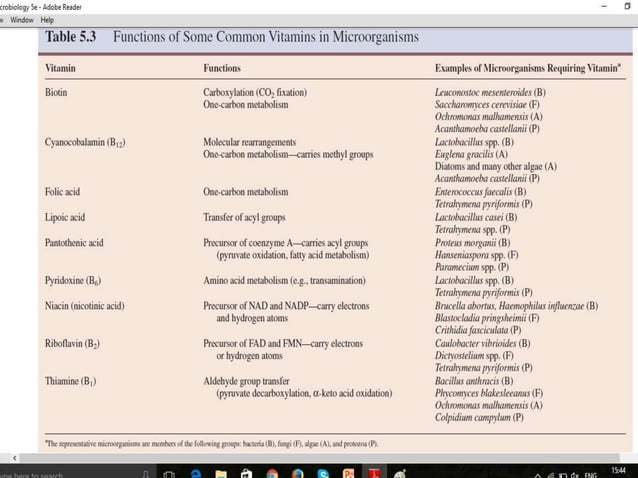 Nutritional classification of bacteria | PPTX