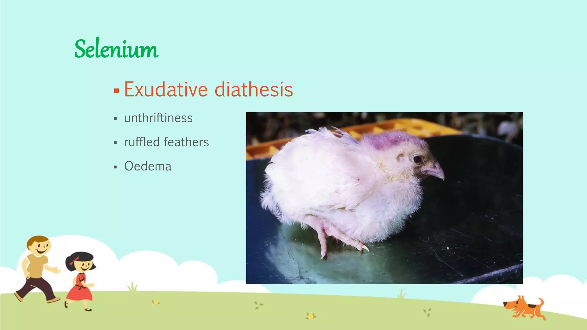 Nutritional deficiency syndromes in Poultry | PPTX