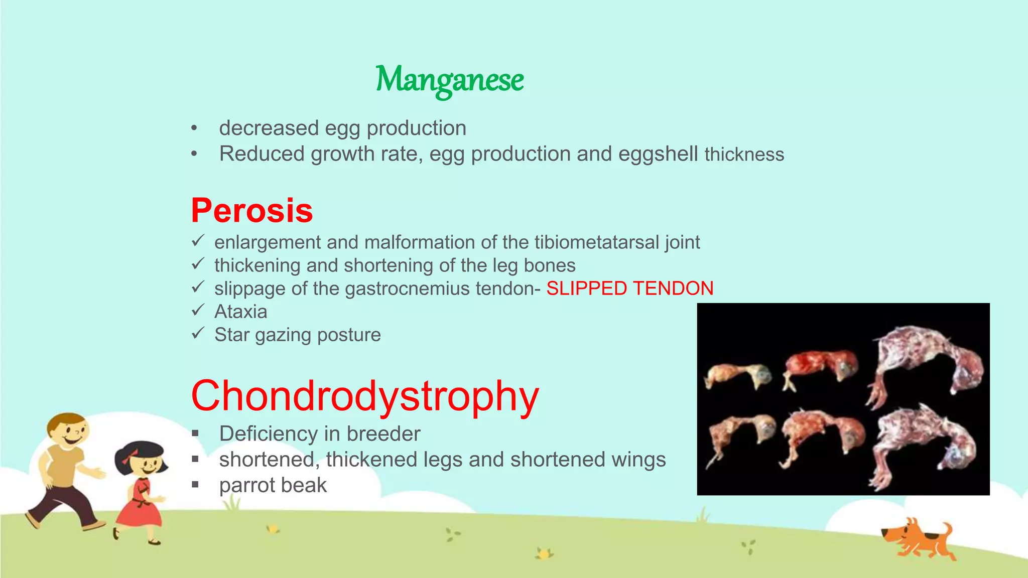 Nutritional deficiency syndromes in Poultry | PPTX