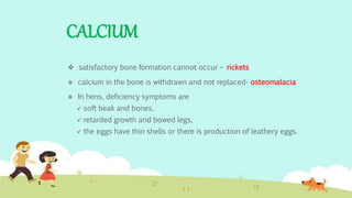 Nutritional deficiency syndromes in Poultry | PPTX