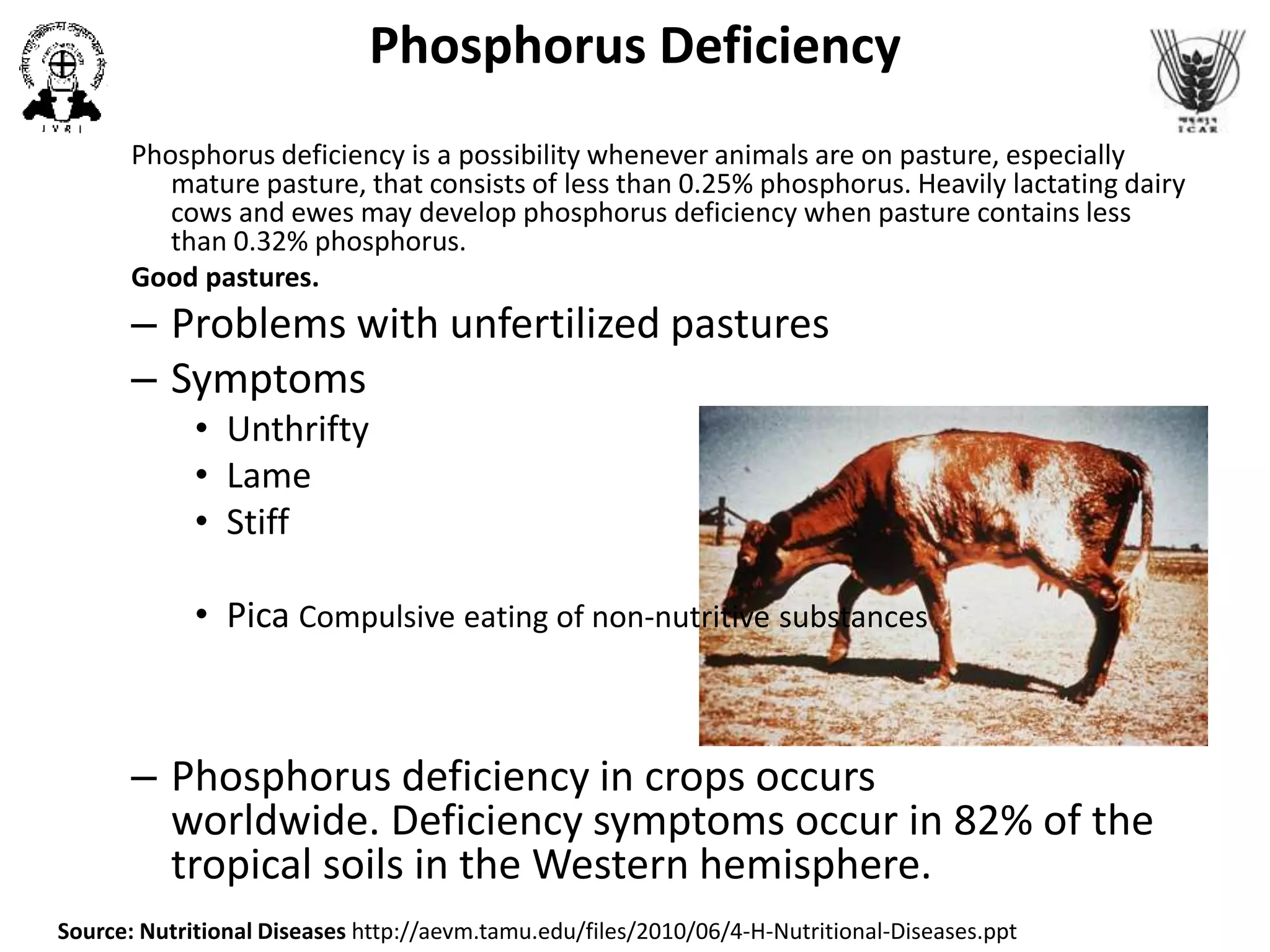 Nutritional disease epidemiology | PPTX