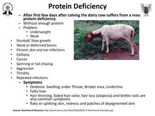 Nutritional disease epidemiology | PPTX