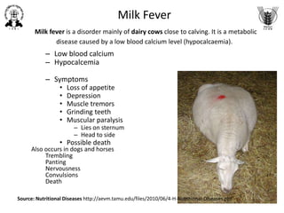 Nutritional disease epidemiology | PPTX