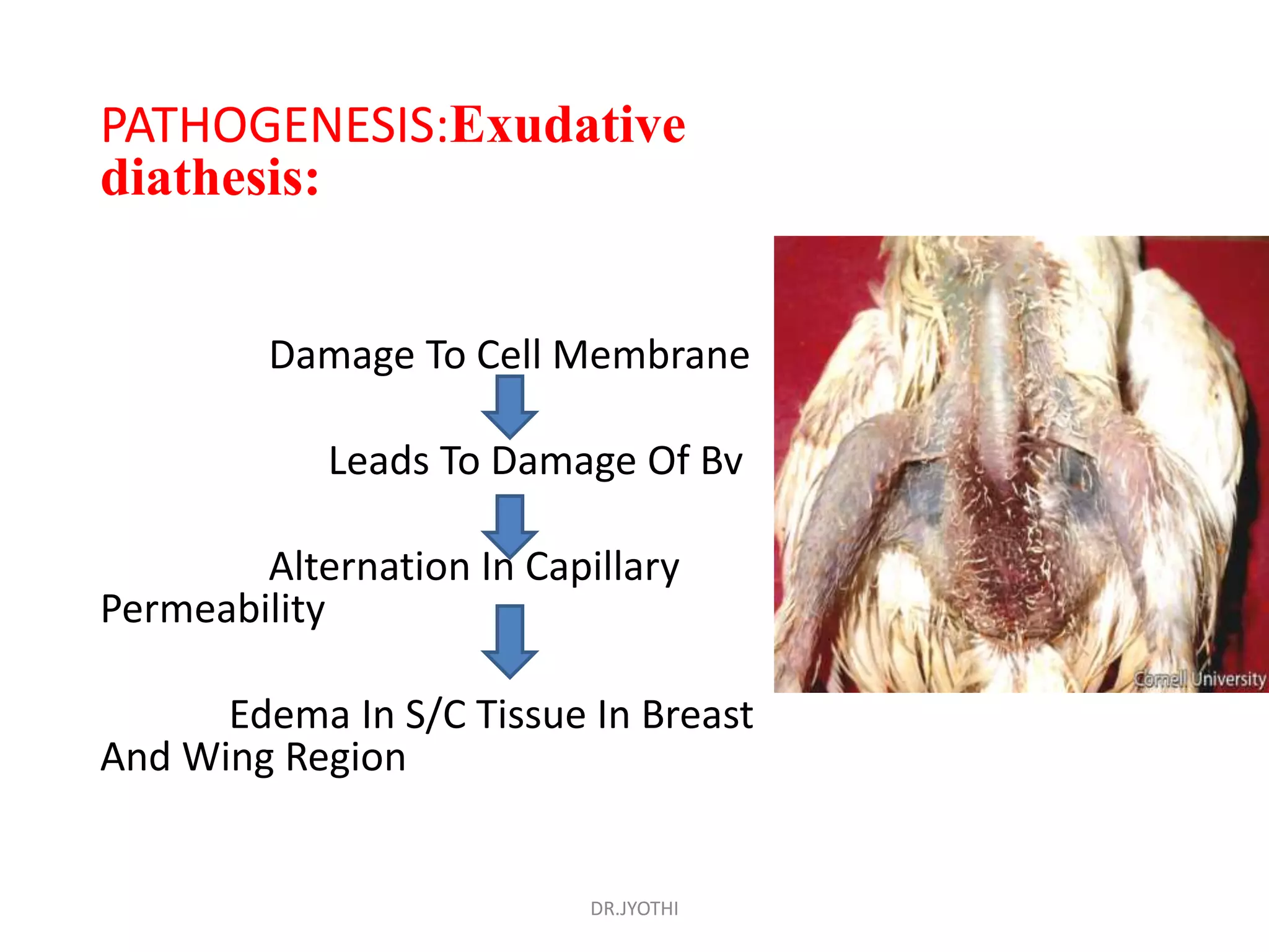 nutritional diseases.pdf
