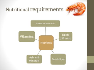 Nutritional diseases in shrimps | PDF