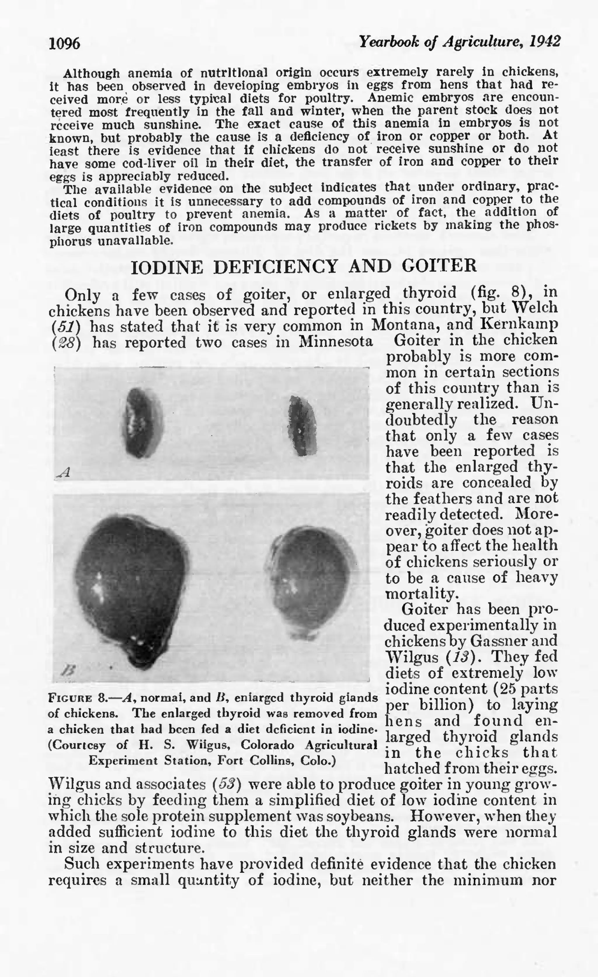 Nutritional diseases of poultry | PDF