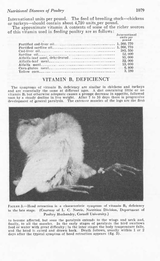 Nutritional diseases of poultry | PDF