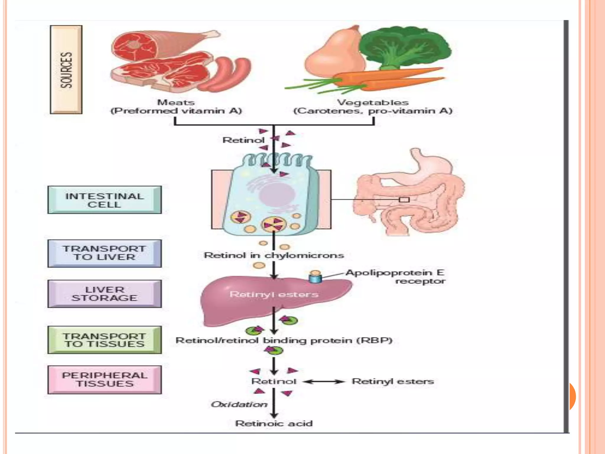 Nutritional disorders | PPTX