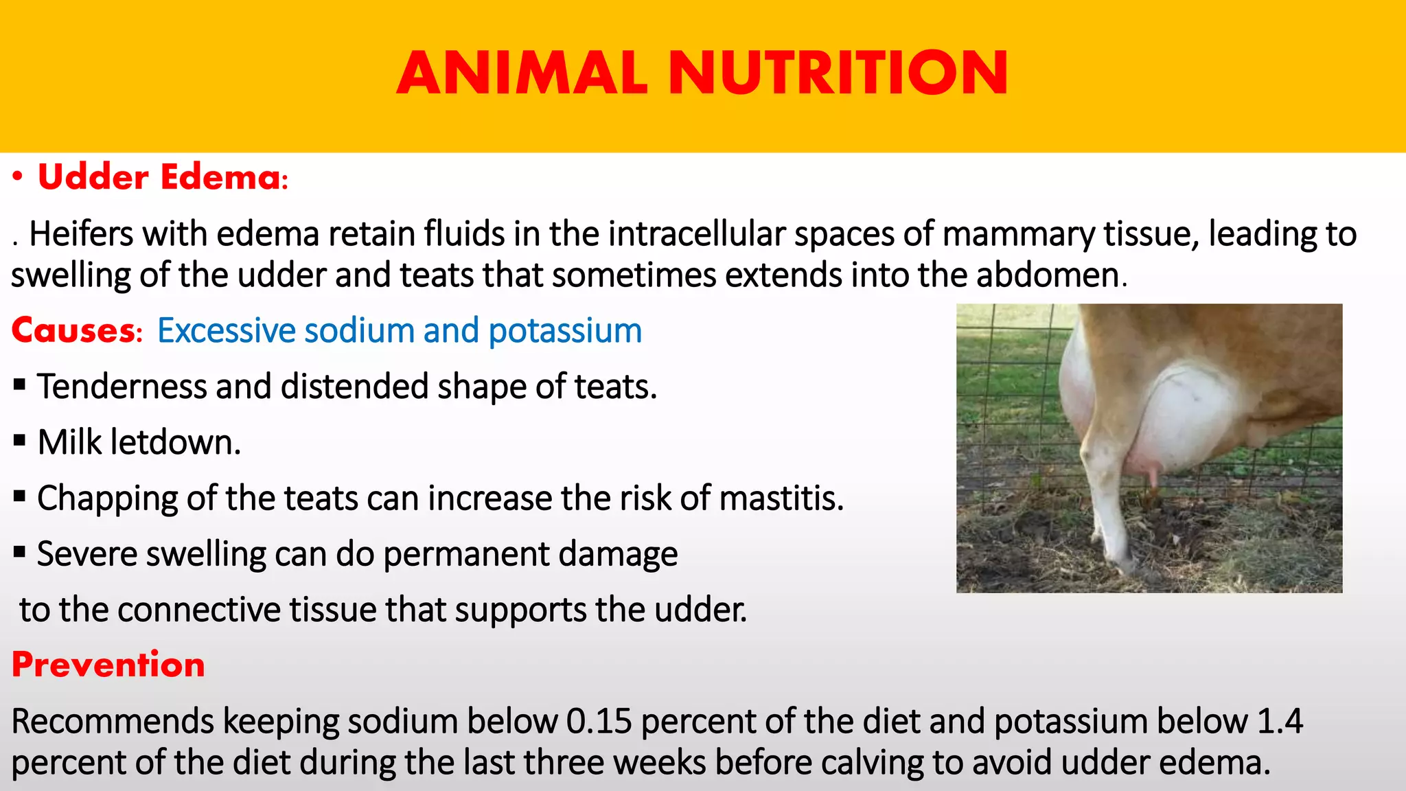 Nutritional disorders of ruminants | PPTX