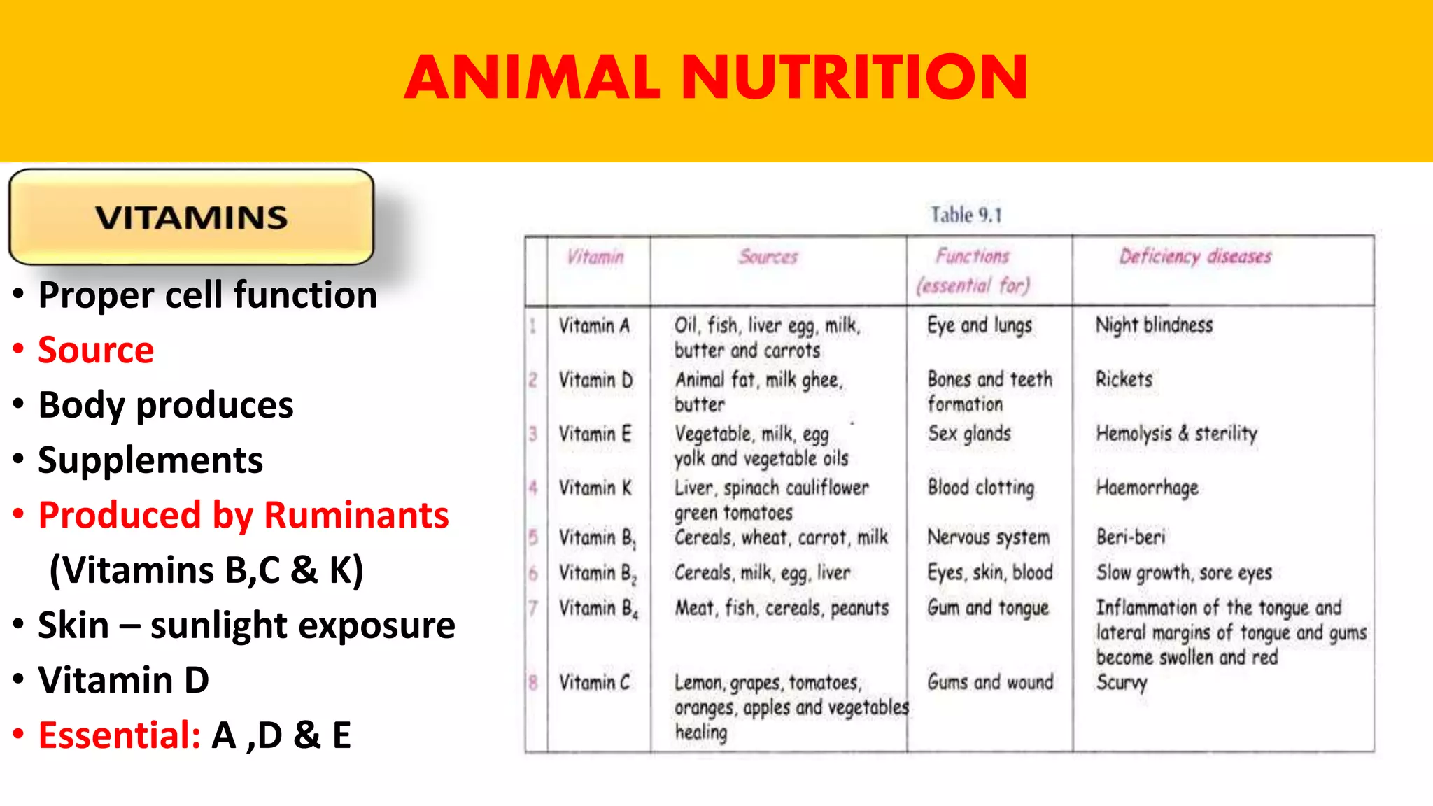 Nutritional disorders of ruminants | PPTX