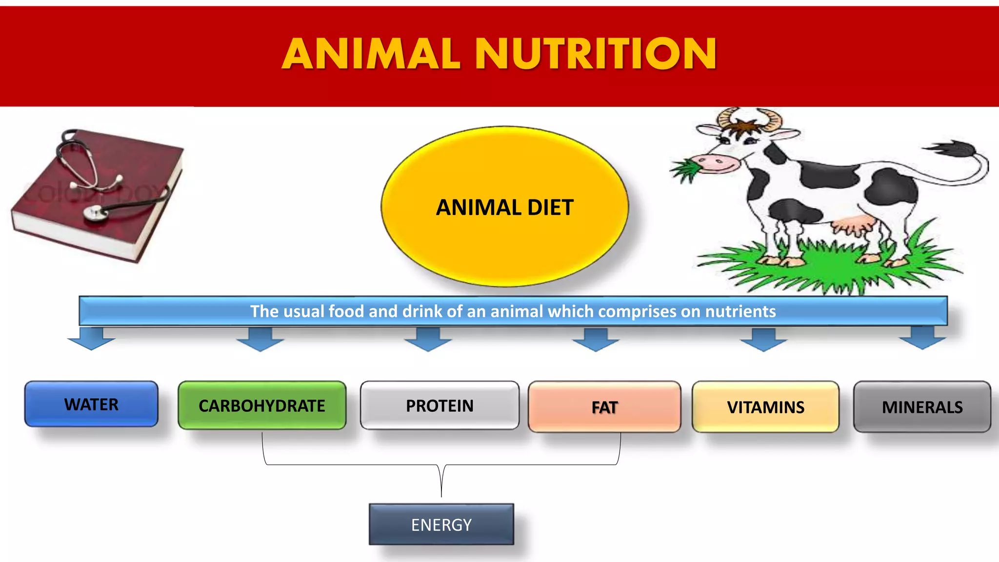 Nutritional disorders of ruminants | PPTX