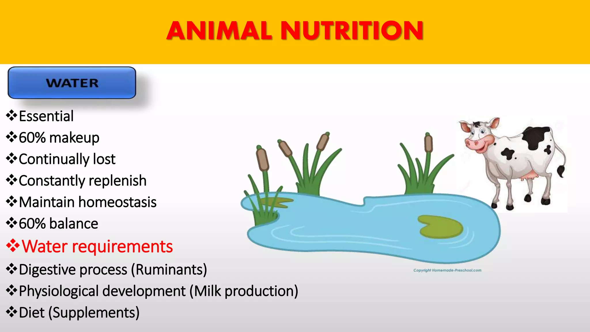 Nutritional disorders of ruminants | PPTX