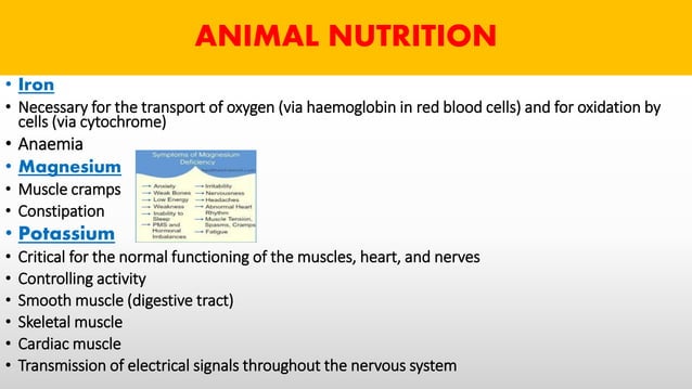 Nutritional disorders of ruminants | PPTX | Digestive Disorders ...