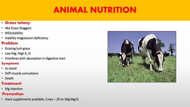 Nutritional disorders of ruminants | PPTX | Digestive Disorders ...