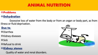 Nutritional disorders of ruminants | PPTX