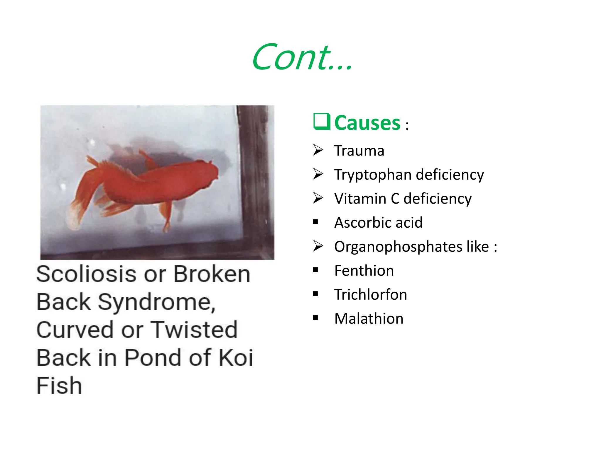 Nutritional Disorders Of Fish GROUP -5.pptx