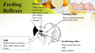 Nutritional education and health education in Pediatric | PPTX