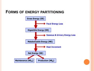 Nutritional energetics | PPTX
