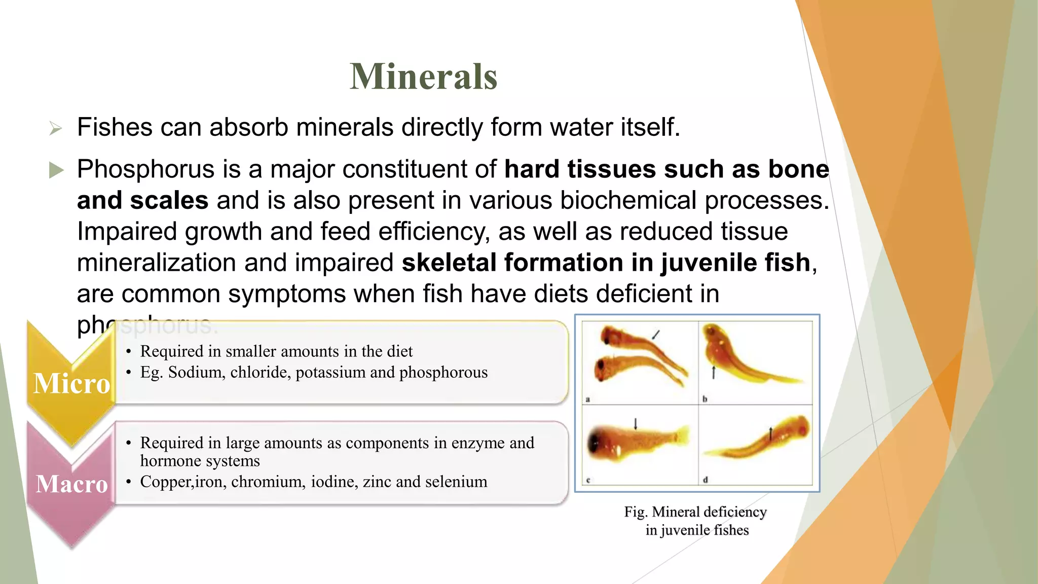 Nutritional Factors.pptx